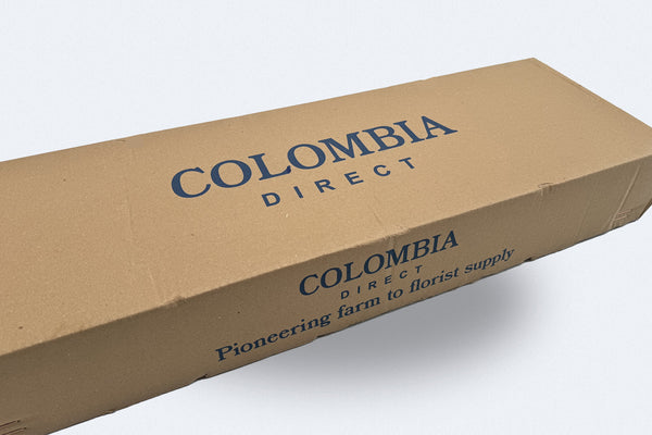 Colombia Direct - Alstro Perfection Box Mix